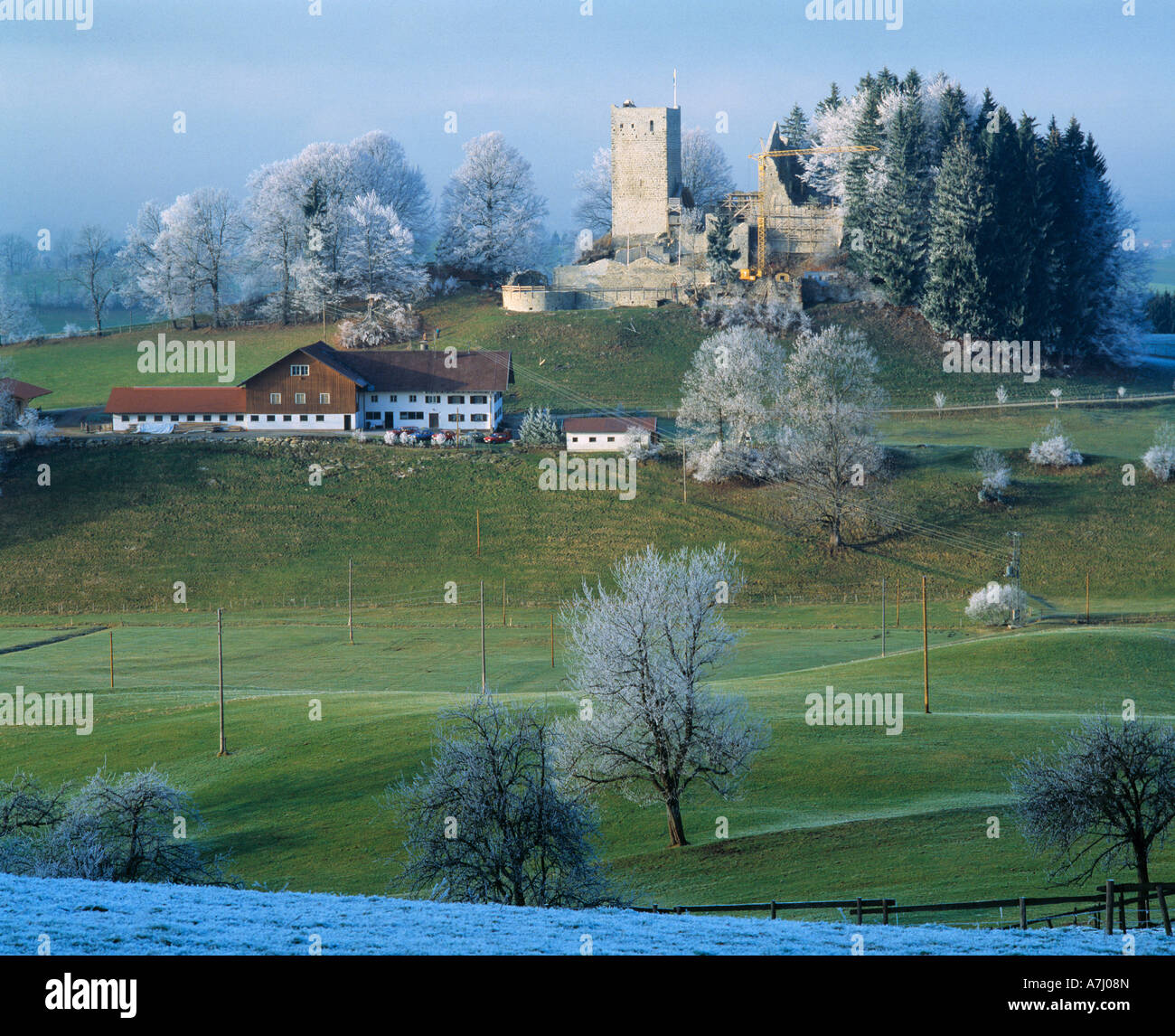 Sulzberger Burgruine und Bauernhaus, Baeume mit Rauhreif, Sulzberg ...