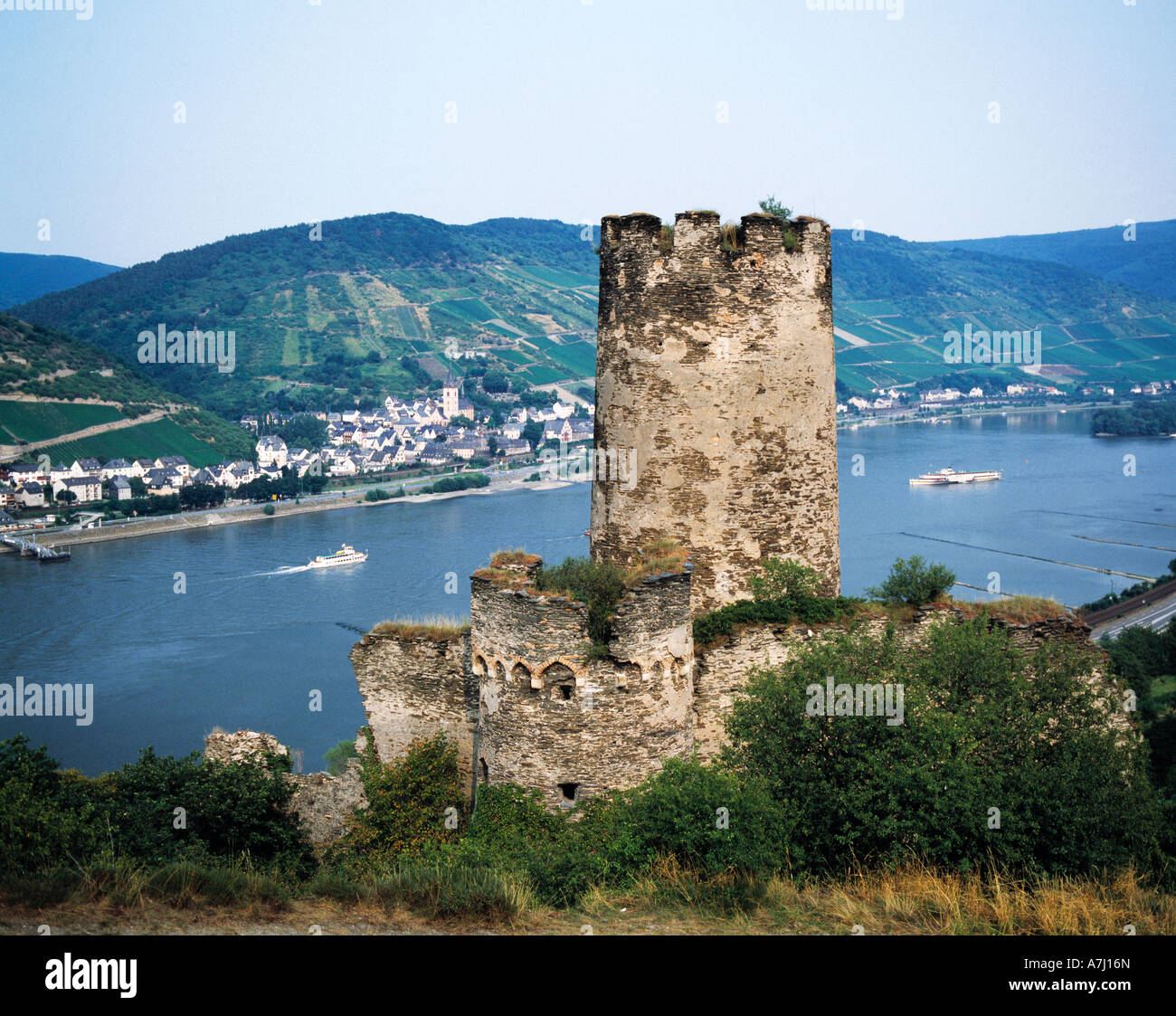 Rheinlandschaft, Burgruine Fuerstenberg, Blick ueber den Rhein nach ...