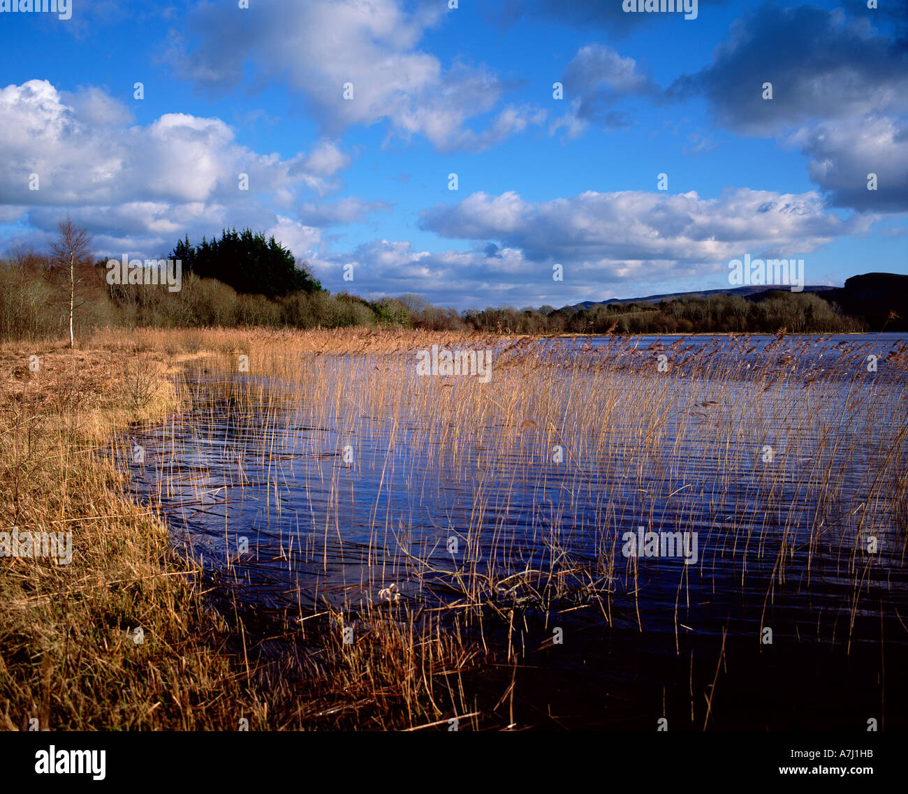 Fermanagh lakes hi-res stock photography and images - Alamy