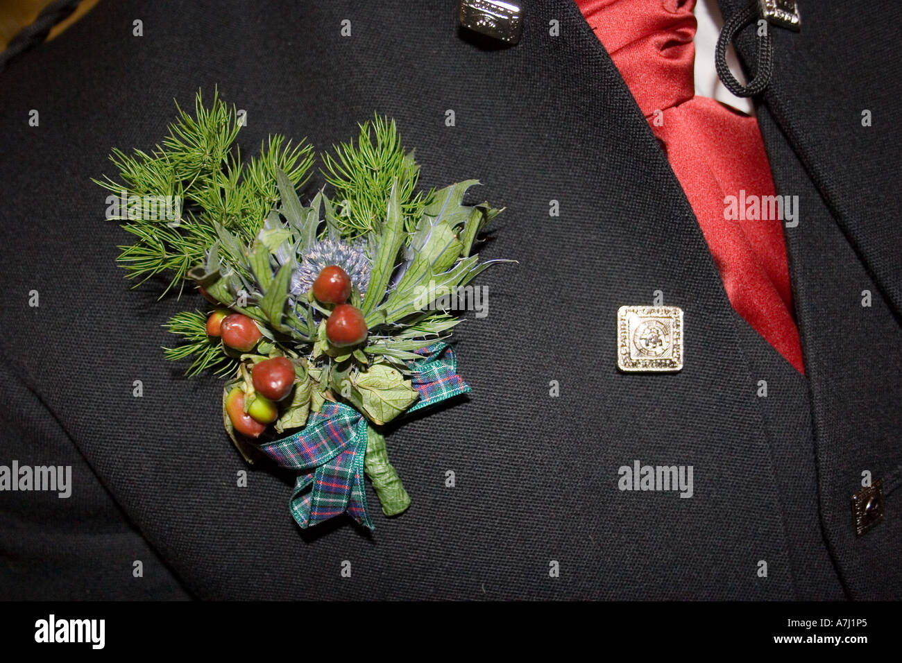 Tartan ribbon hi-res stock photography and images - Alamy