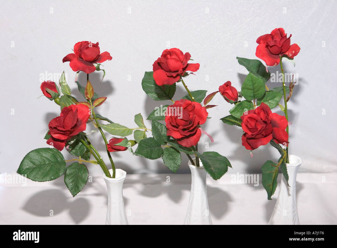 Six red roses with foliage in white vases against a white background ...