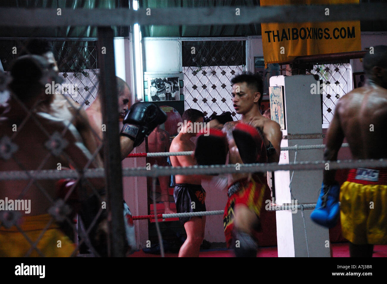 Muay Thai Thai Boxing training session Bangkok Thailand Stock Photo - Alamy