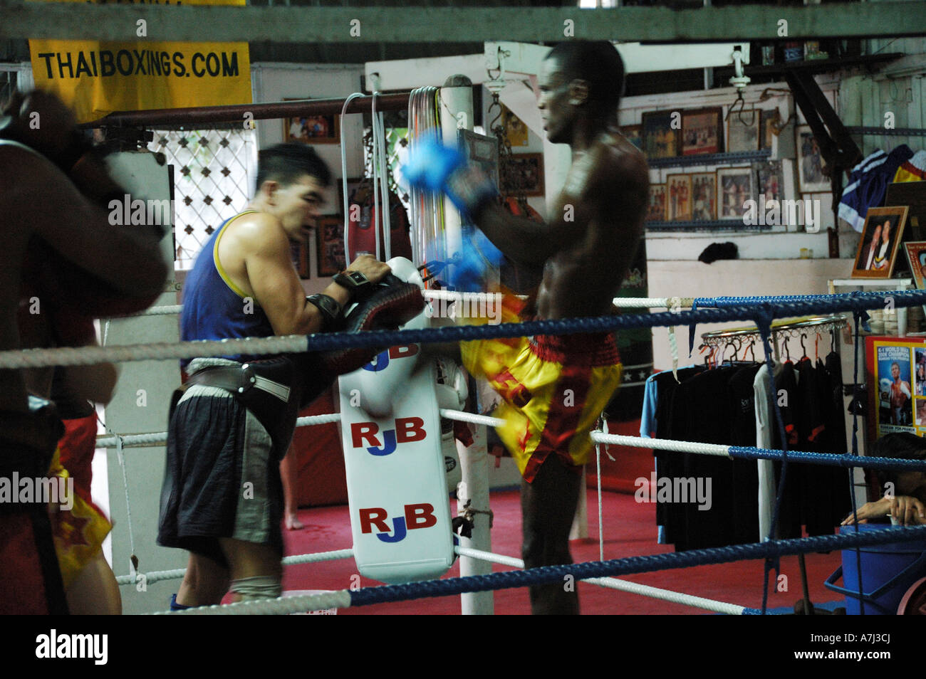 Muay Thai Thai Boxing training session Bangkok Thailand Stock Photo - Alamy