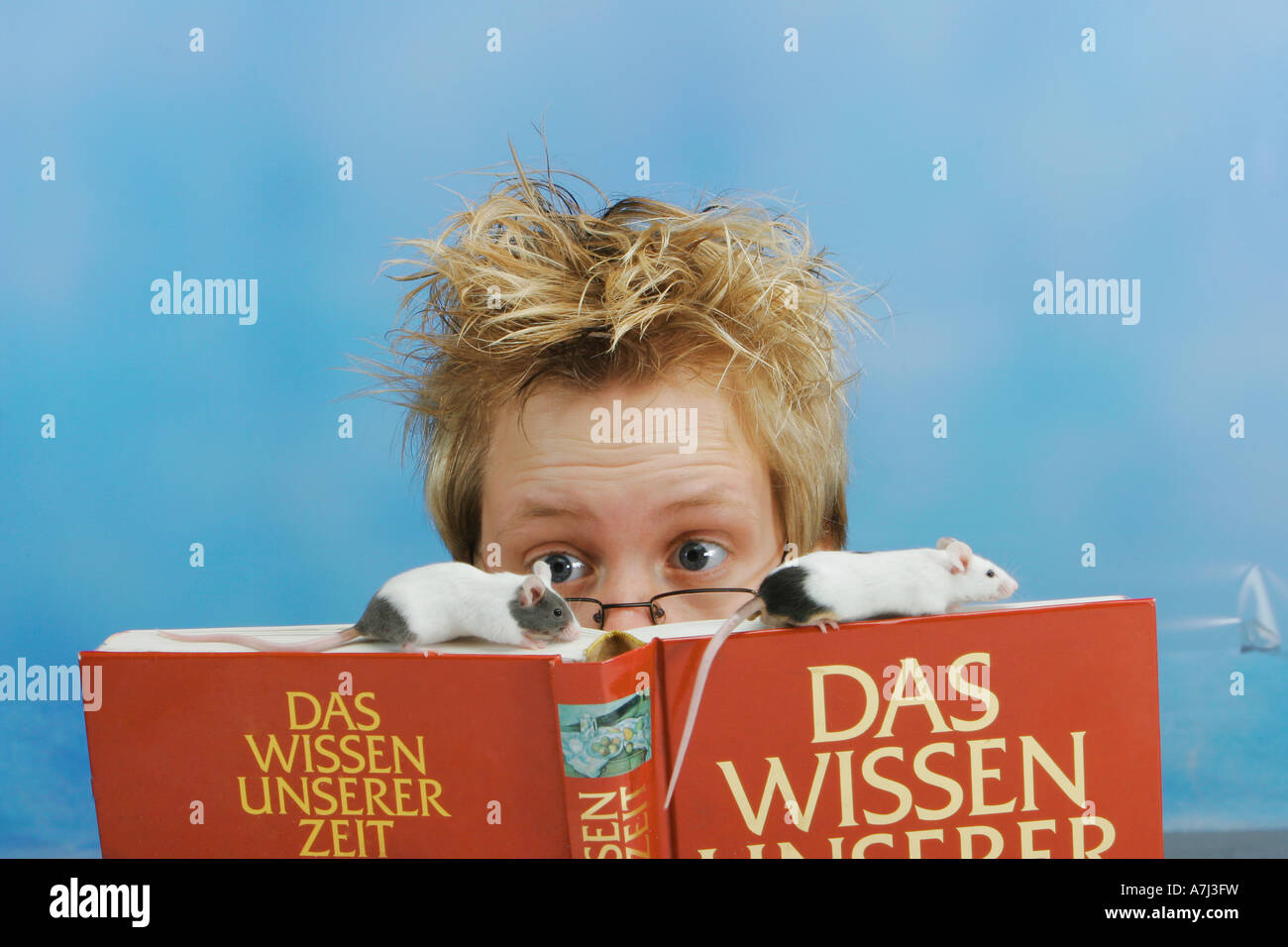 two fancy mice on book Stock Photo - Alamy