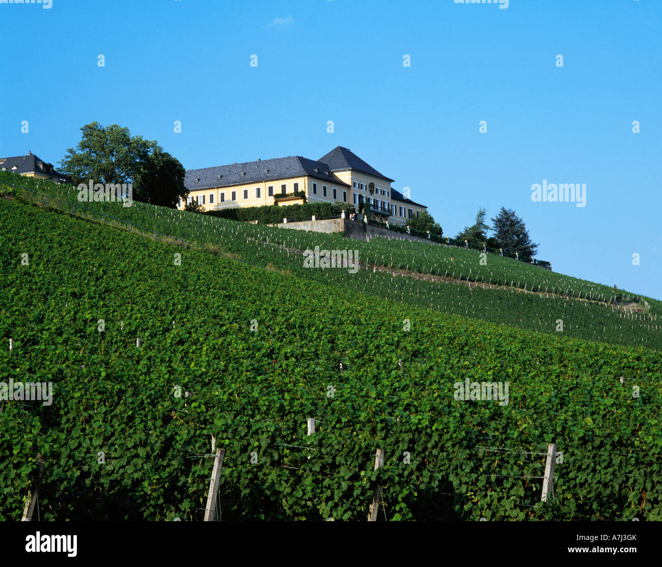 Johannisberg palast hi-res stock photography and images - Alamy