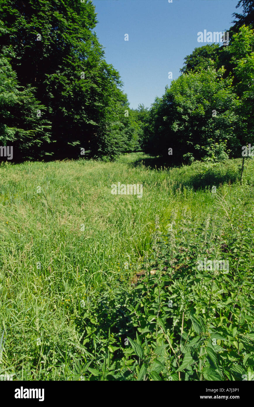 Moist area hi-res stock photography and images - Alamy