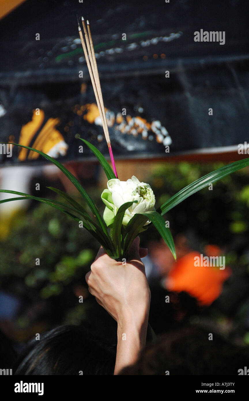 Lotus flower at wat phra kaew hi-res stock photography and images - Alamy