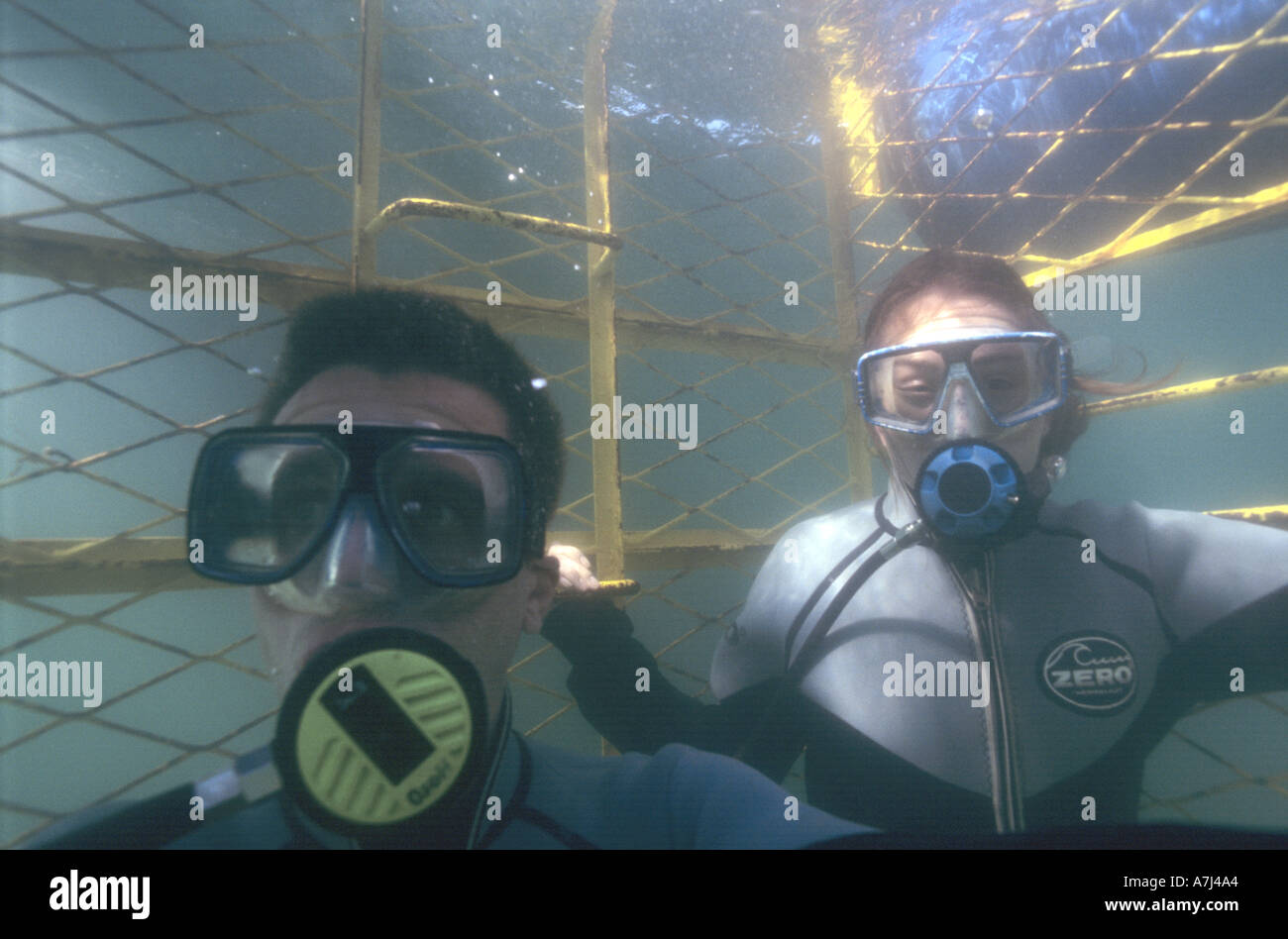 Shark cage attack hi-res stock photography and images - Alamy