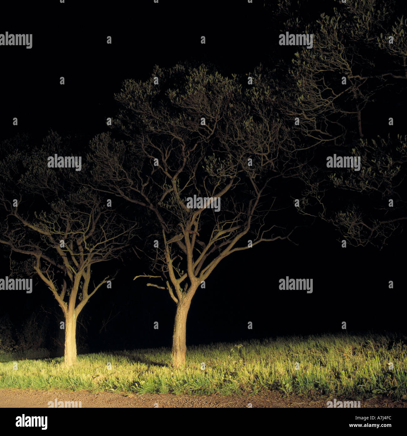 Dark shadow scared hi-res stock photography and images - Alamy