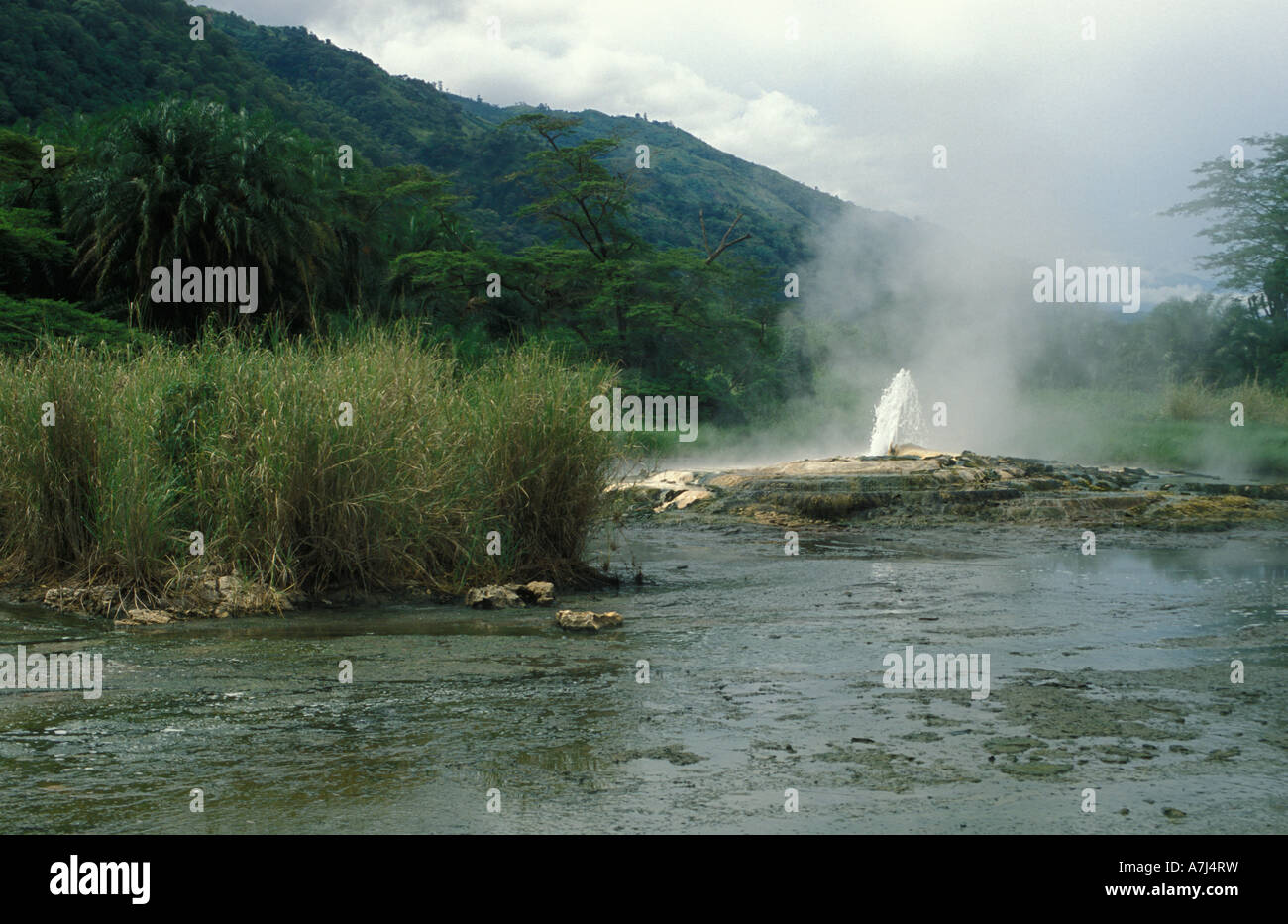 Sempaya hot springs are rich in salt and sulphur Semliki National Park ...