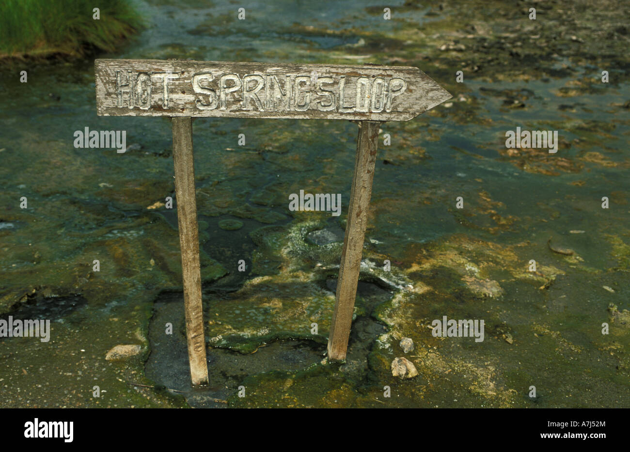 Sempaya hot springs are rich in salt and sulphur Semliki National Park ...