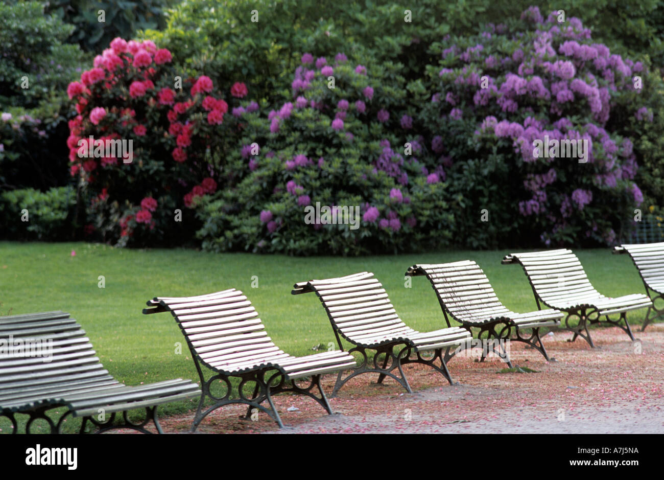 Row of park benches in a garden along the Champs-Elysèes, Paris Stock ...