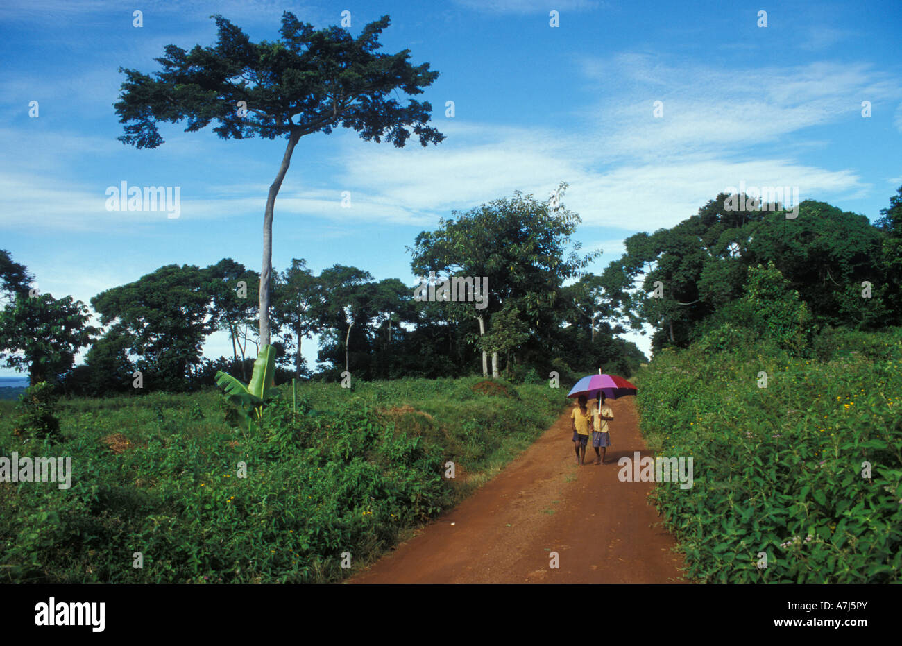 dusty road on Buggala island on Lake Victoria Ssese island Uganda Stock ...