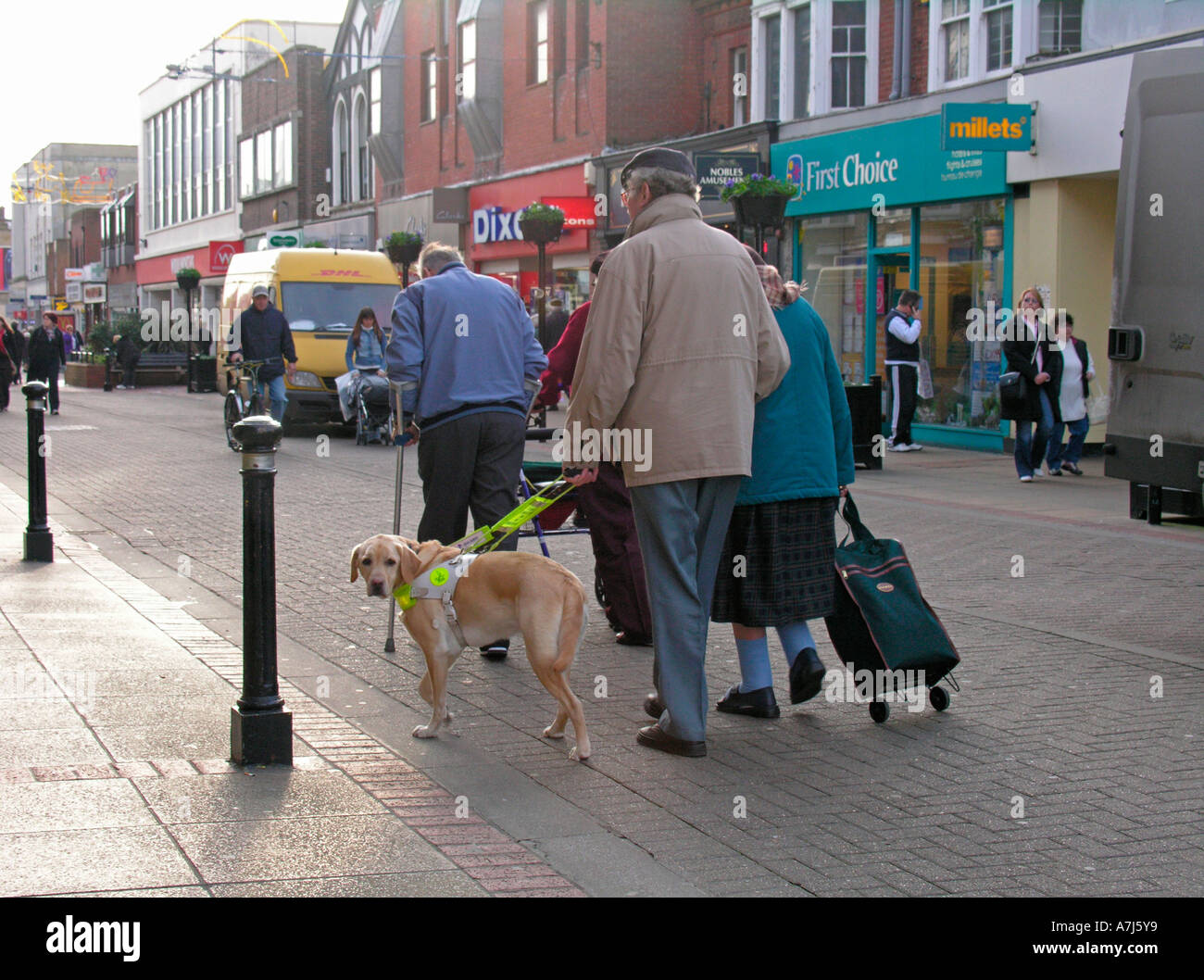 blind elderly man with his invaluable working guide dog to help him at ...