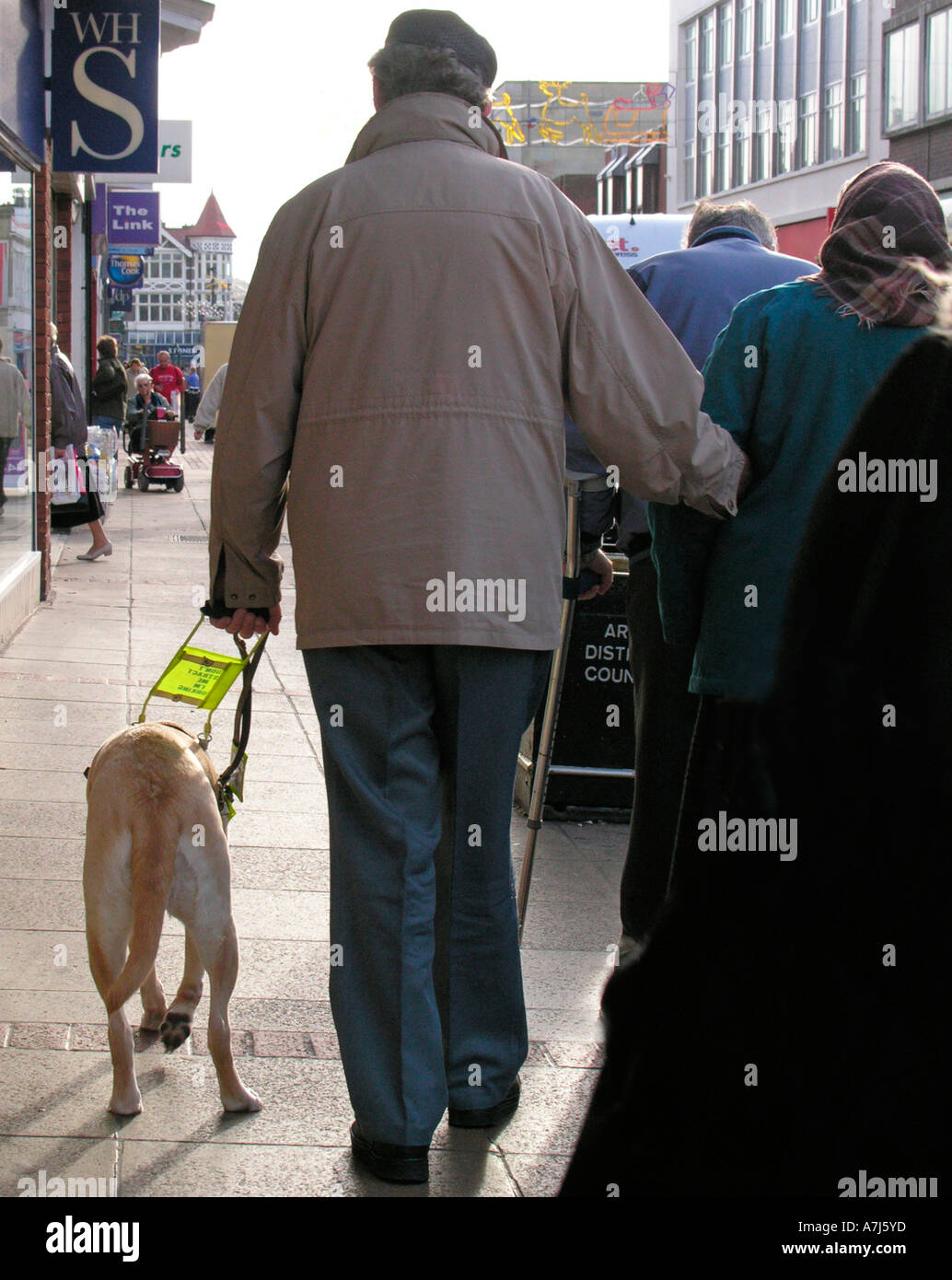 blind elderly man with his invaluable working guide dog to help him at ...