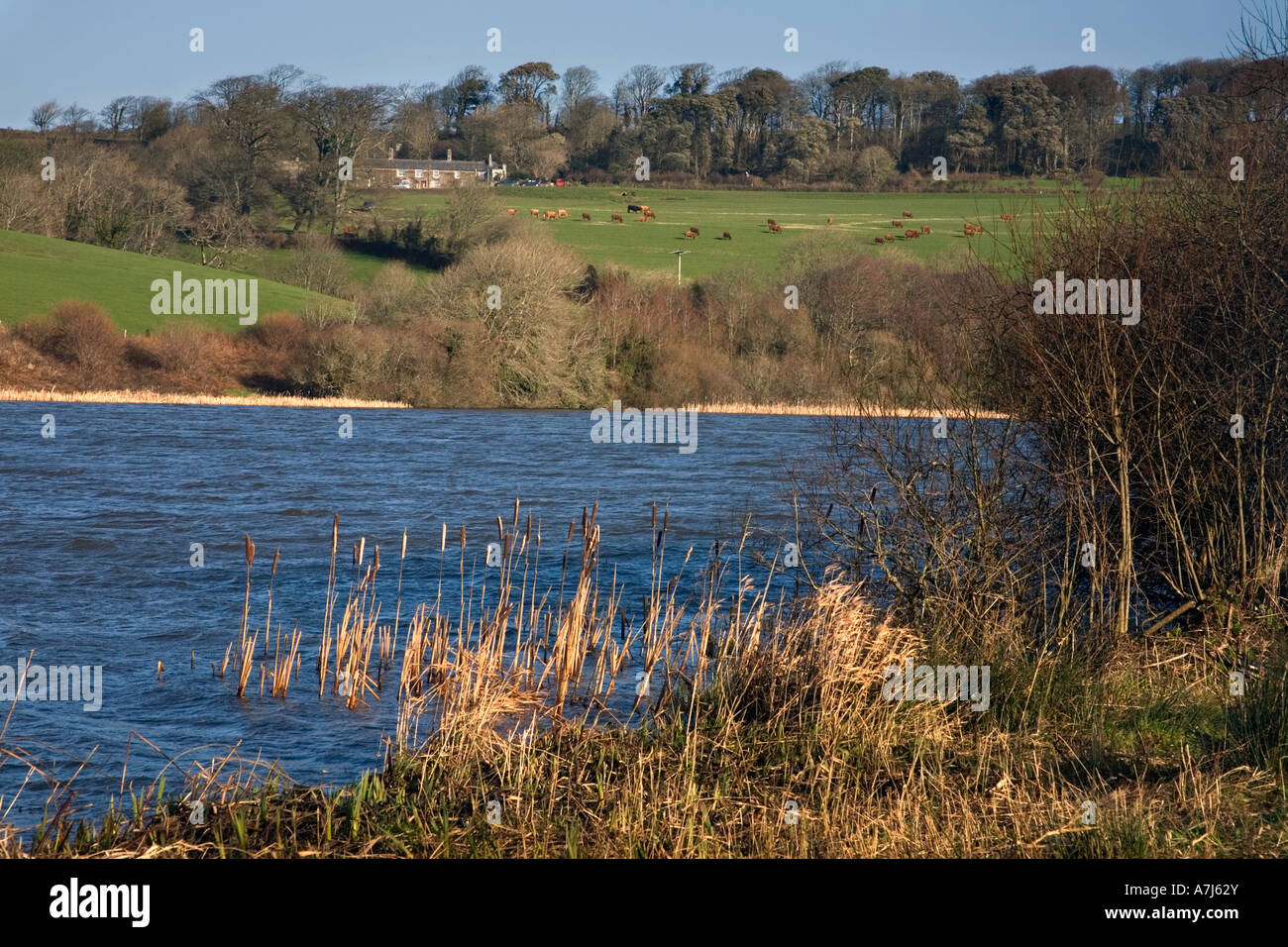 Porth Reservoir High Resolution Stock Photography and Images - Alamy