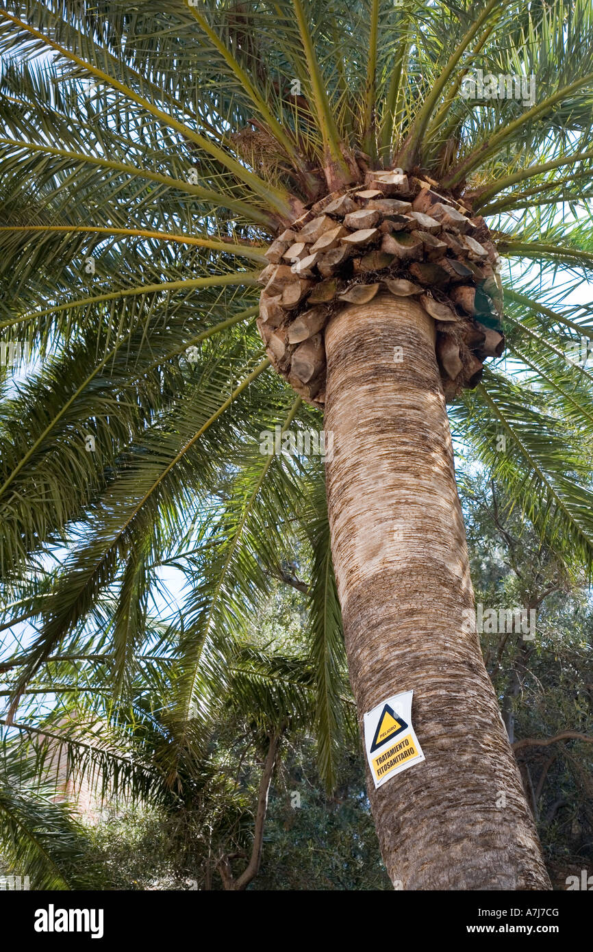 Insect damage hi-res stock photography and images - Alamy