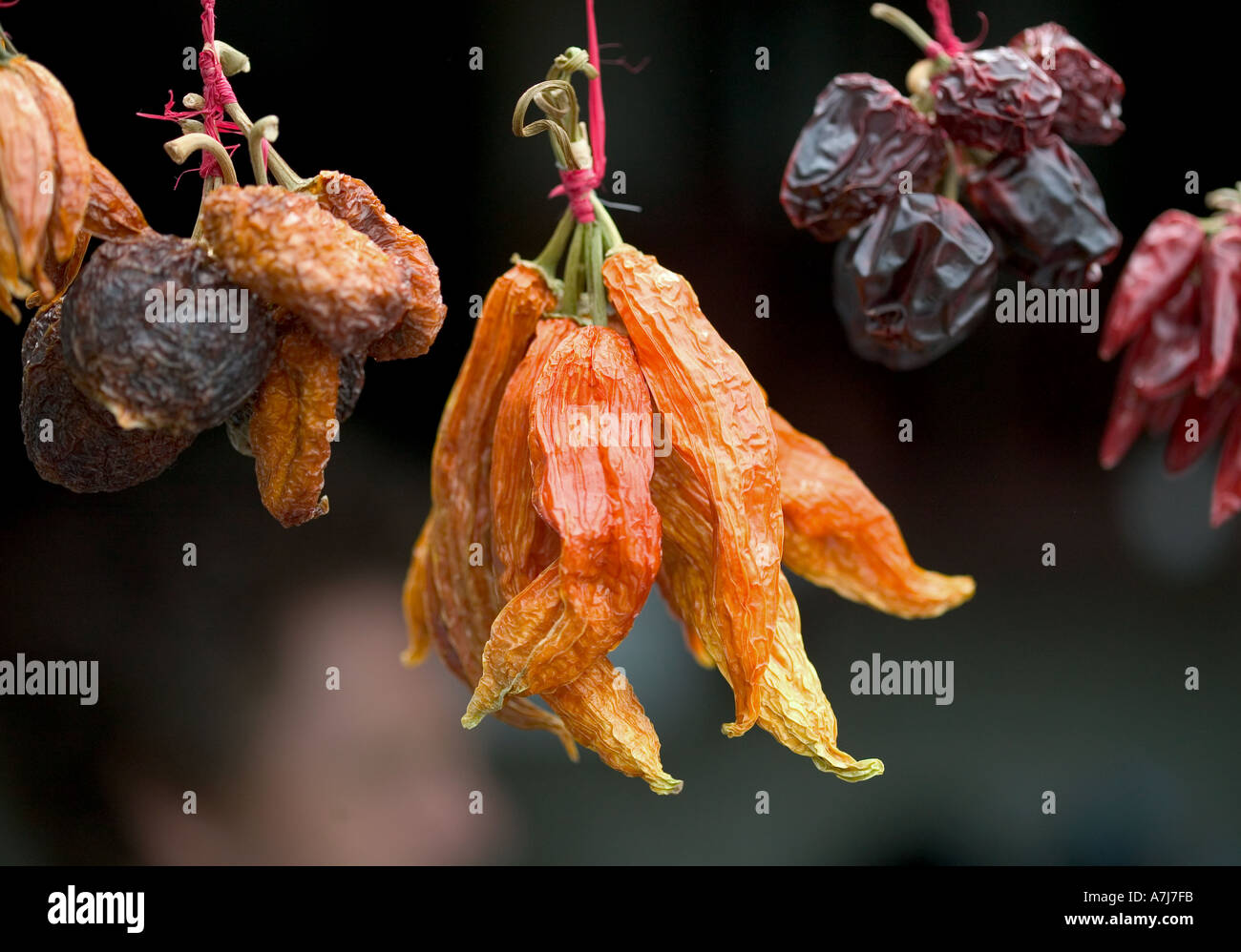 Dried chilli peppers hanging in the sun at West Dean Chilli Fiesta West ...