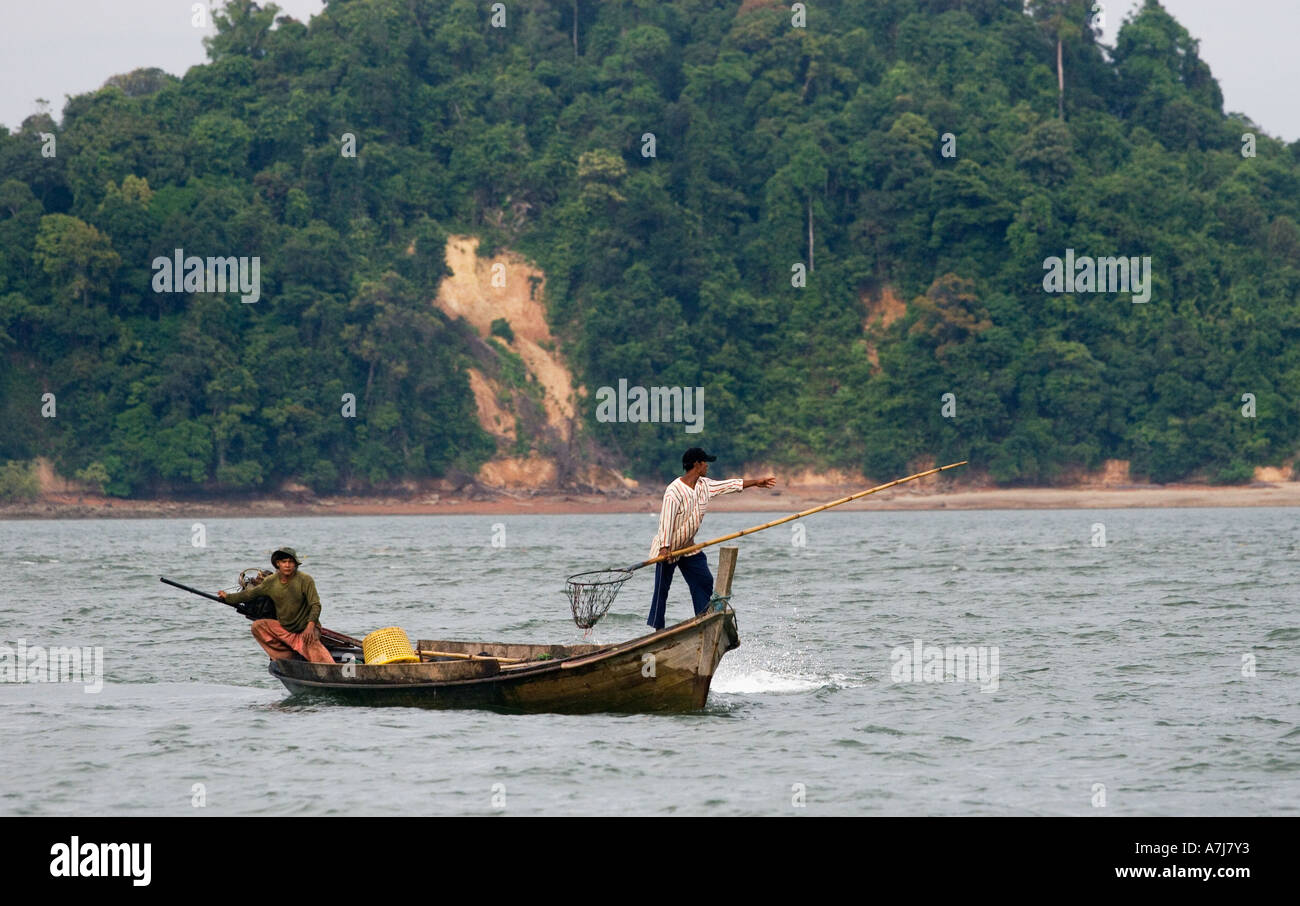 Jellyfish on land hi-res stock photography and images - Alamy