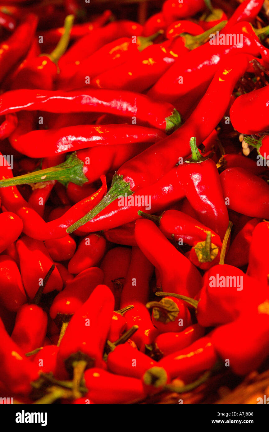 Harvested red chilli peppers Stock Photo - Alamy