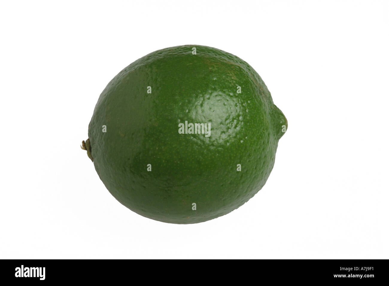 One french hi-res stock photography and images - Alamy