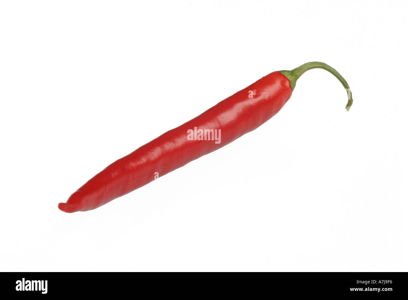 one red chilli pepper on a white background Stock Photo - Alamy