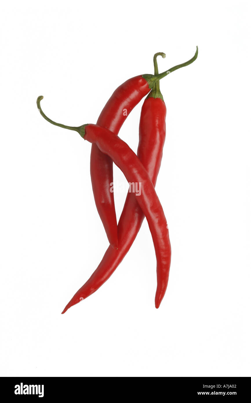 three red chilli peppers on a white background Stock Photo - Alamy