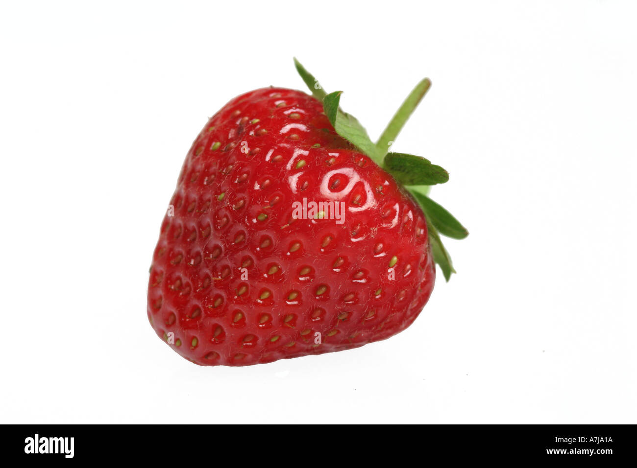 one english strawberry on a white background Stock Photo - Alamy