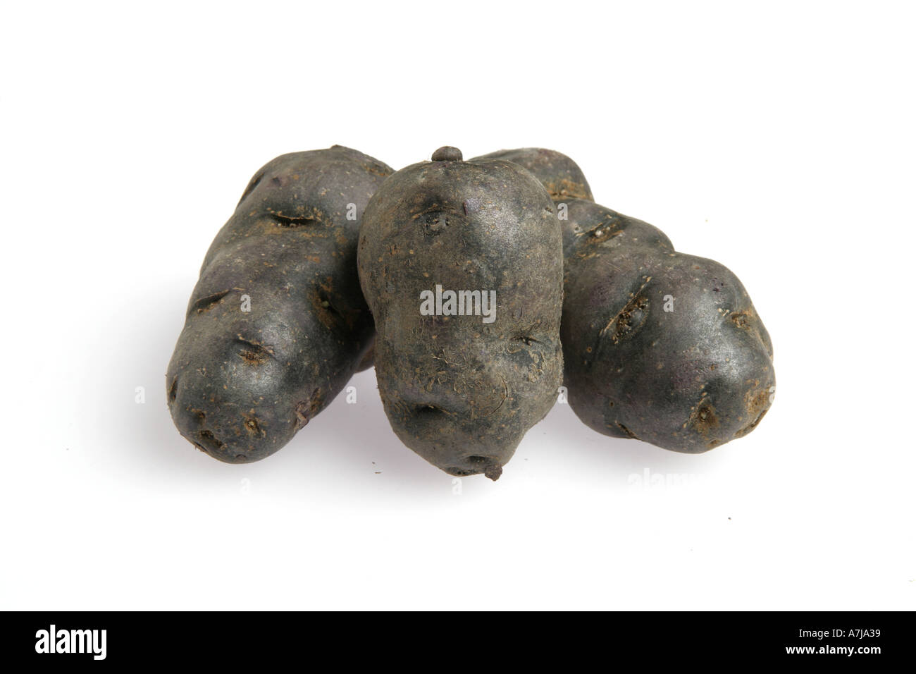 three black potatoes on a white background Stock Photo - Alamy