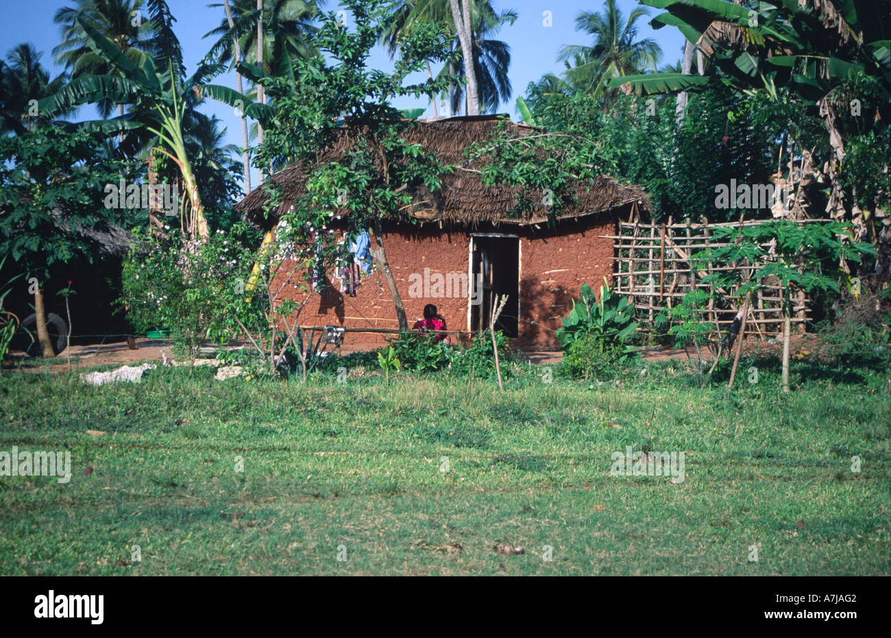 Traditional native hut near stone hi-res stock photography and images ...
