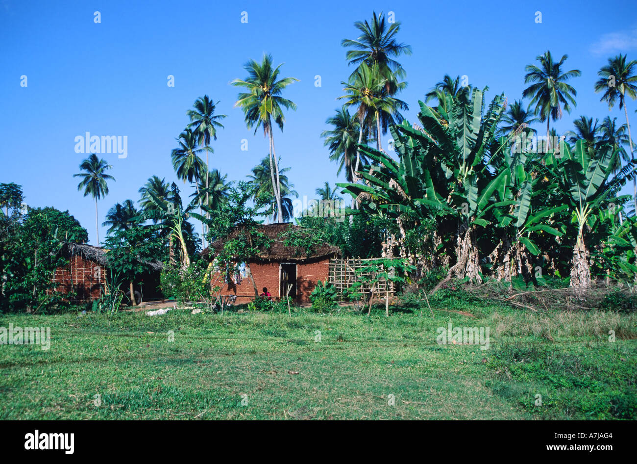 Traditional native hut near Stone Town Zanzibar East Africa Stock Photo ...