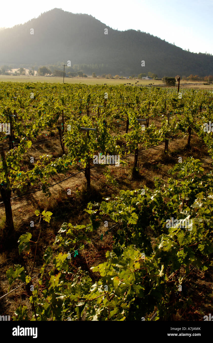 Applegate valley hi-res stock photography and images - Alamy