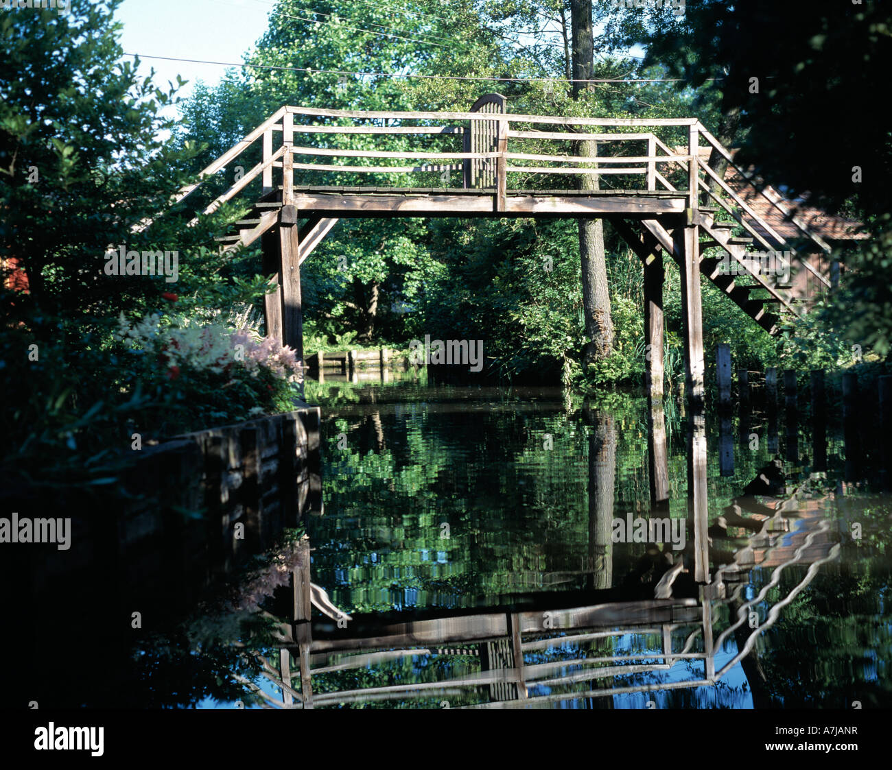 Spreewaldlandschaft in Luebbenau, Biosphaerenreservat Spreewald ...