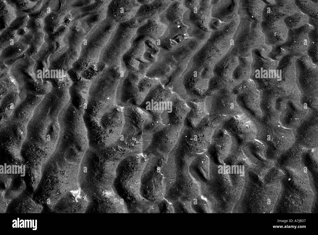 Patterns in sand on beach at low tide Pembrey Country Park Carmarthen ...