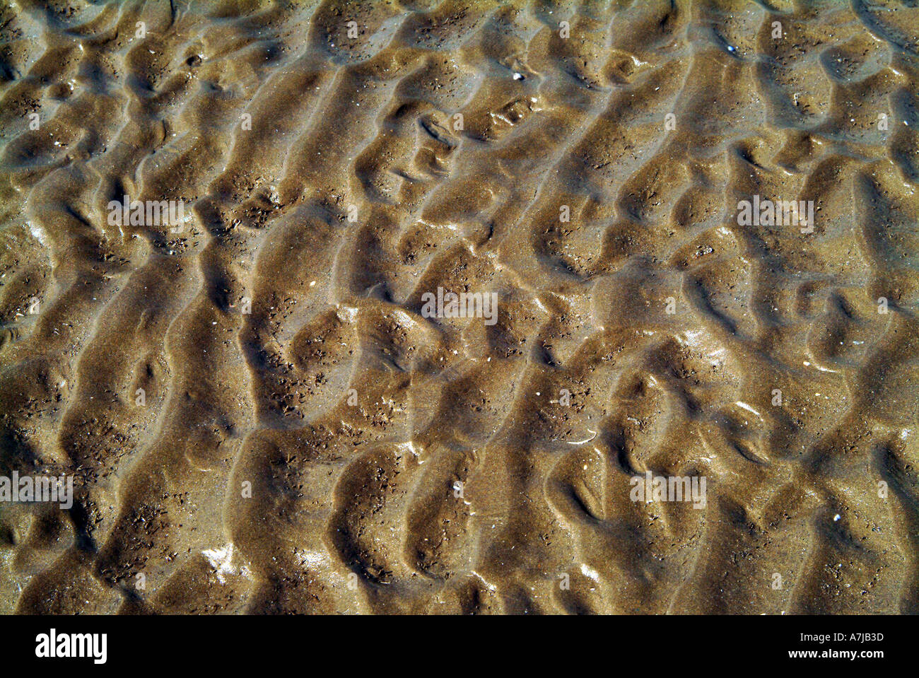 Patterns in sand on beach at low tide Pembrey Country Park Carmarthen ...