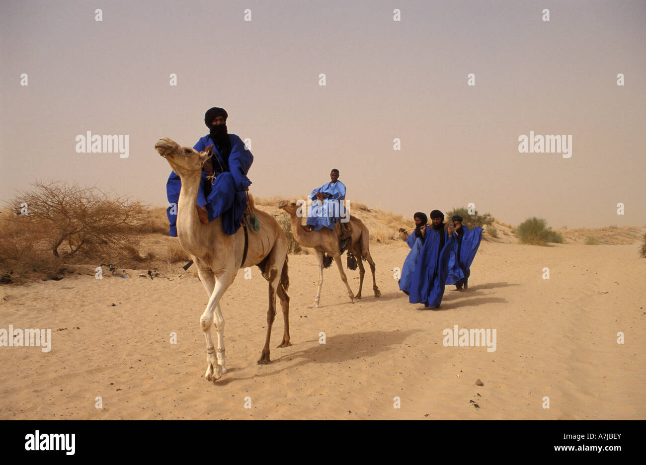 Mali desert caravan hi-res stock photography and images - Alamy