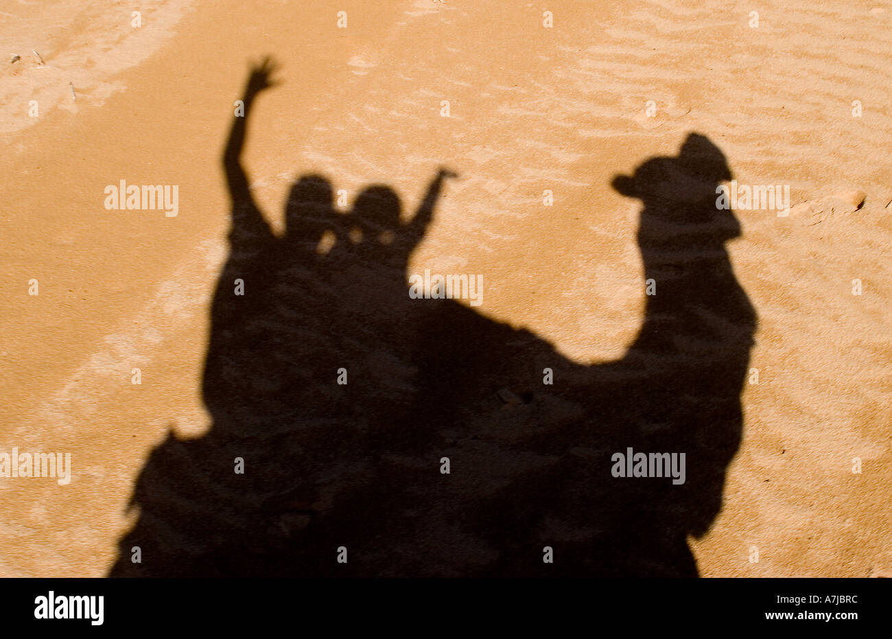 Shadow of camel and its riders on dessert sand in morocco Stock Photo ...