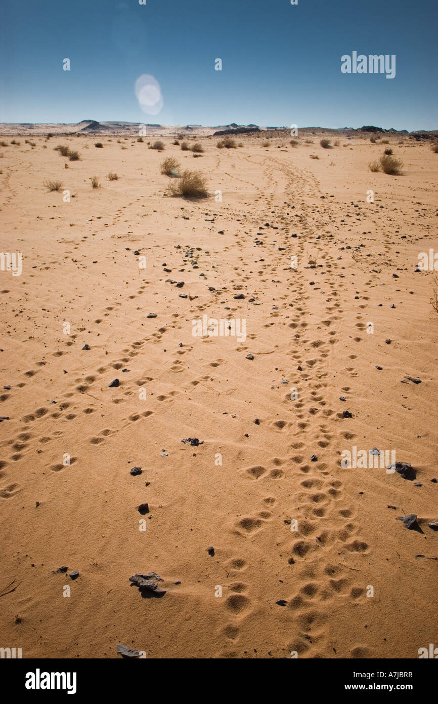 Wind erosion sandstone egypt hi-res stock photography and images - Alamy