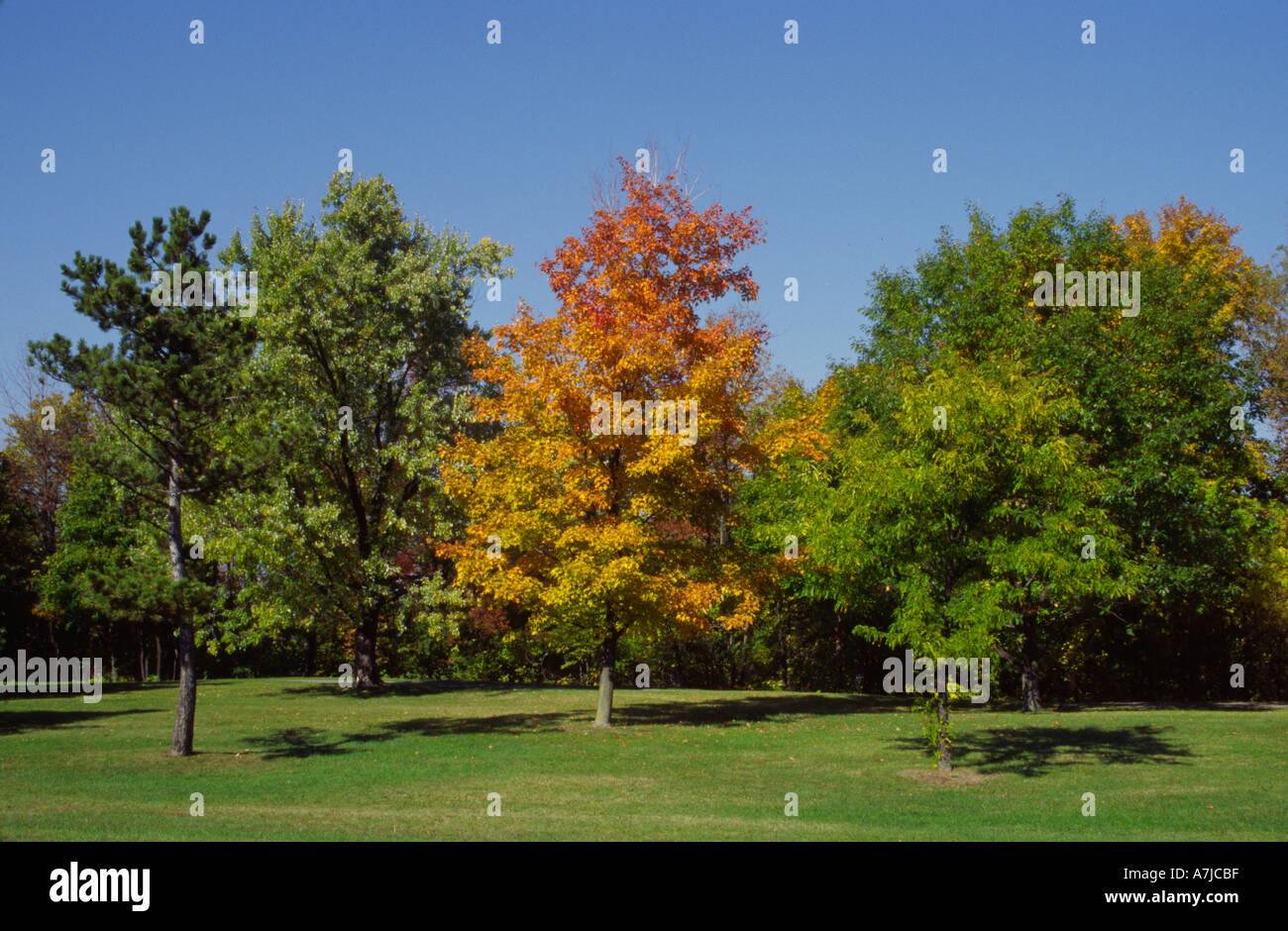 Fall in Ontario Canada Stock Photo - Alamy