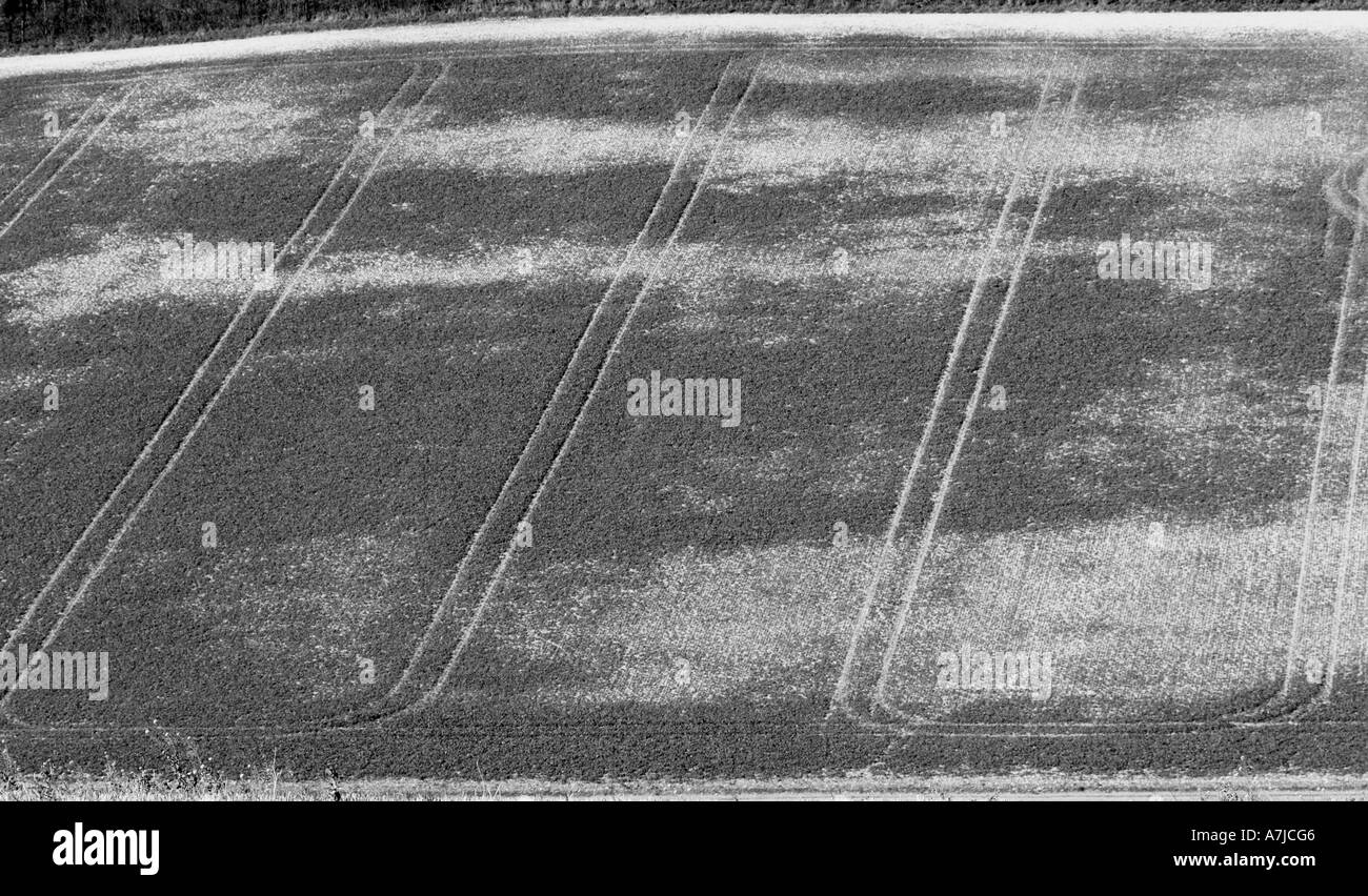 Plough and tractor marks make crop patterns in field Stock Photo - Alamy