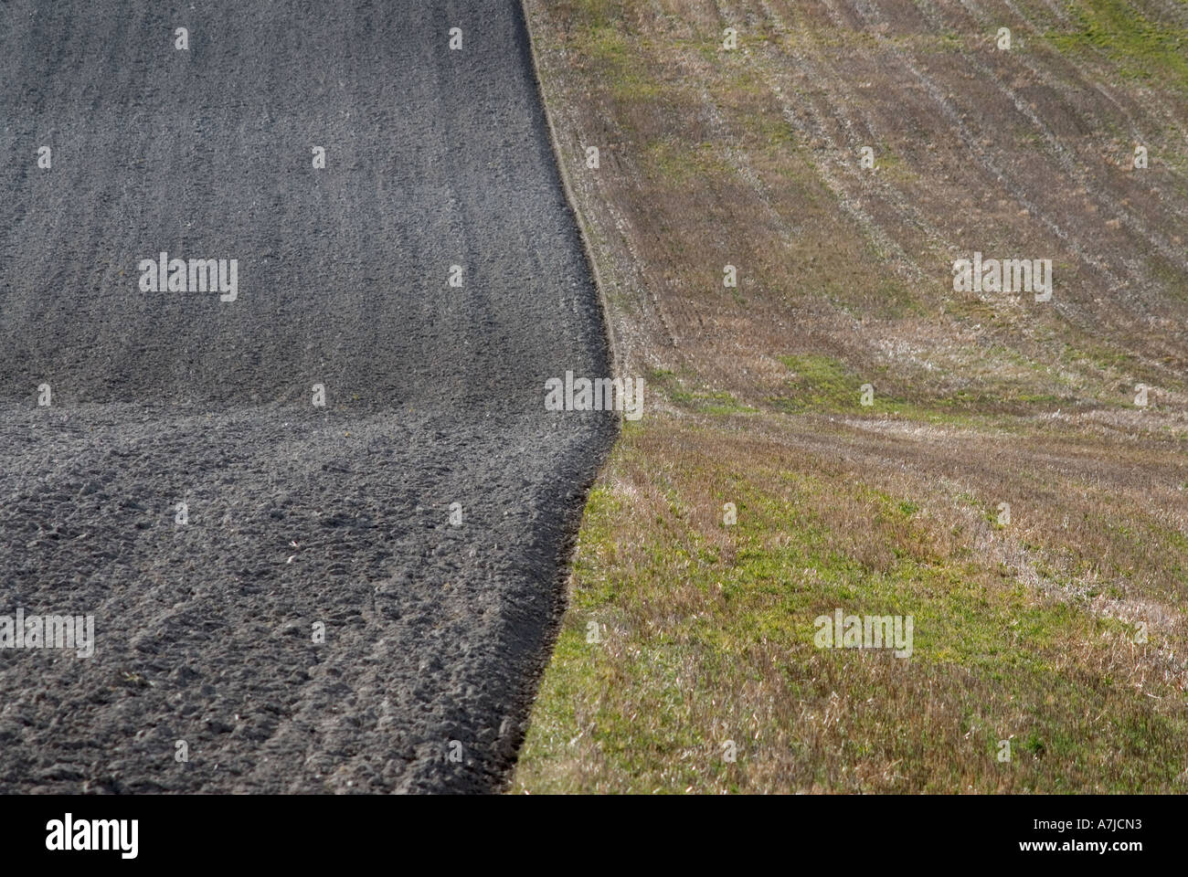 Plough and tractor marks make crop patterns in field. Grey mud clay ...