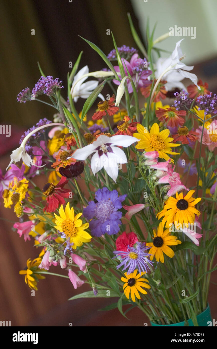 Floral display in flower show Stock Photo - Alamy