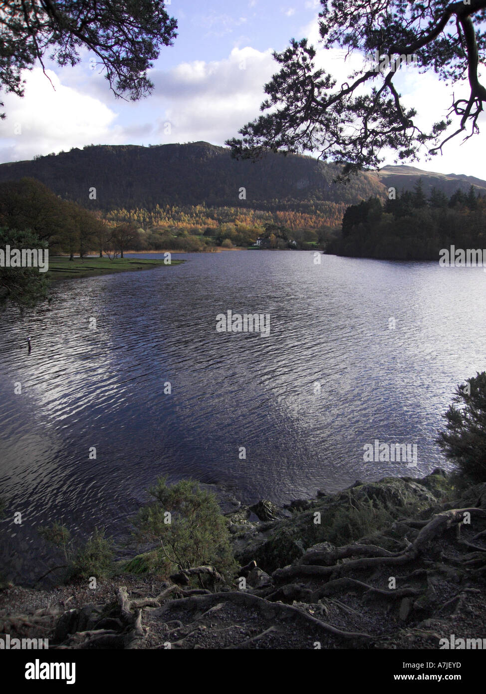 Derwent island house hi-res stock photography and images - Alamy