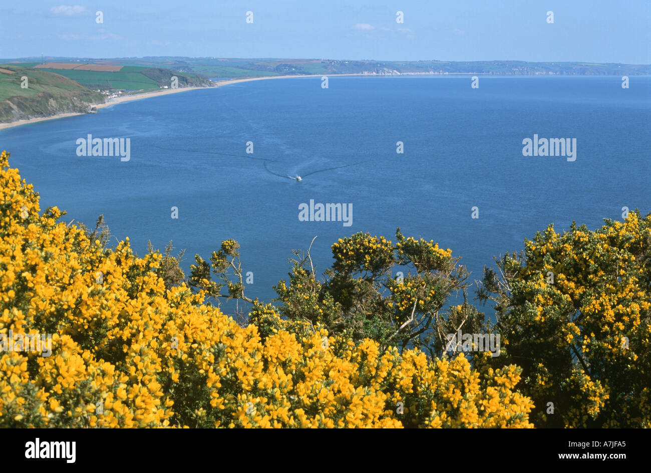 Start Bay Devon England United Kingdom Stock Photo - Alamy