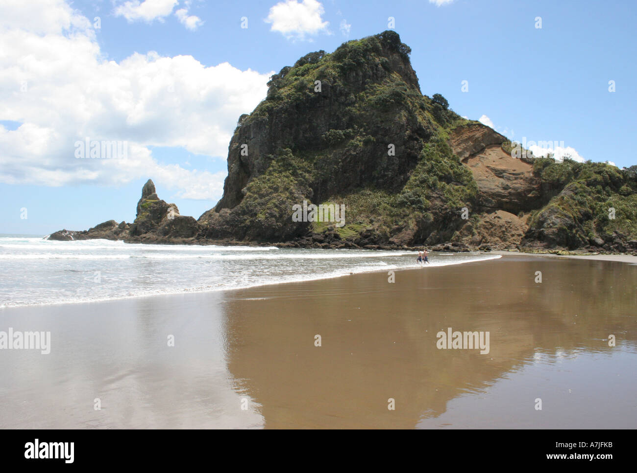 Lion Rock, Piha Beach Stock Photo - Alamy