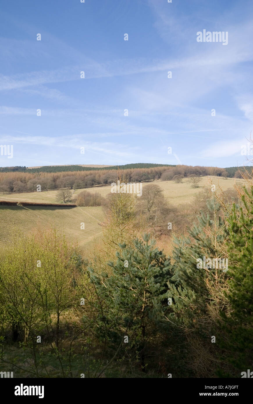 Goyt valley woodlands hi-res stock photography and images - Alamy