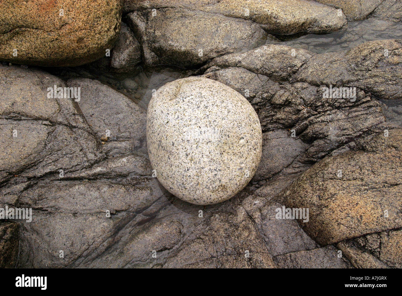 Large pebble Cott Valley Cape Cornwall UK Stock Photo - Alamy