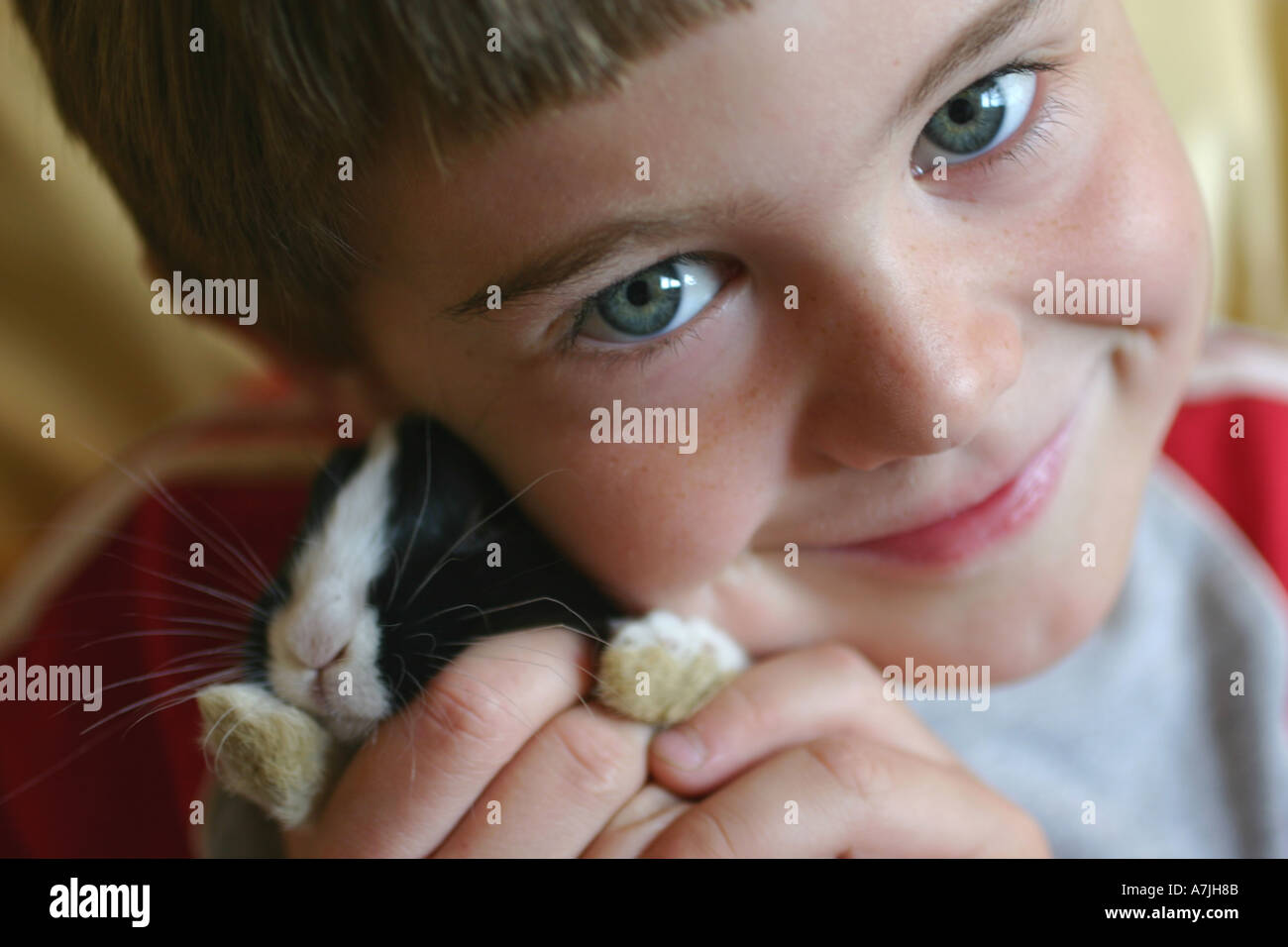 Portrait rabbit child kid pet animal hi-res stock photography and ...