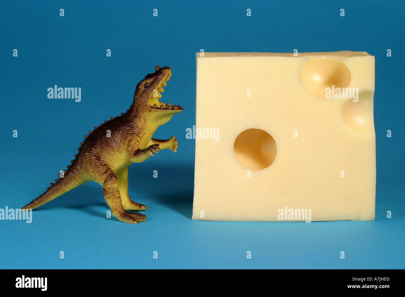 Swiss cheese with toy dinosaur Stock Photo - Alamy