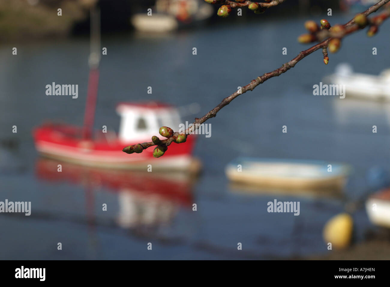 Hayle cornwall boats hi-res stock photography and images - Alamy
